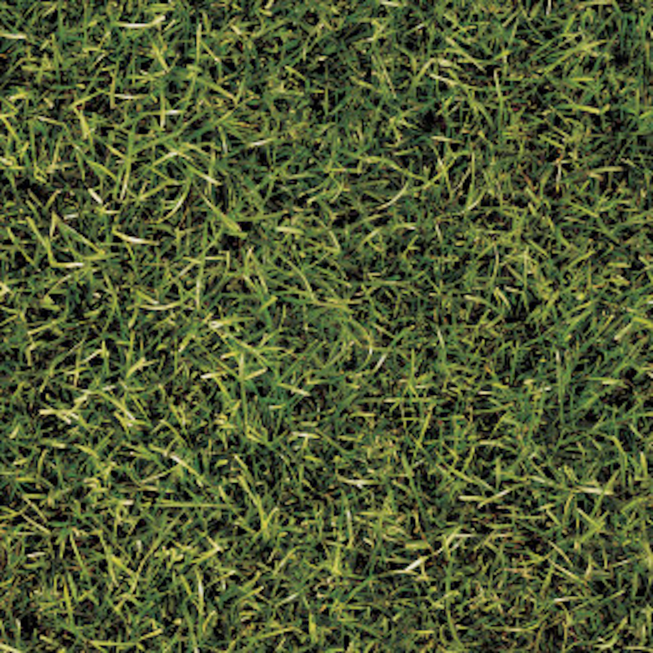 Imagine Tile | Custom Ceramic Tile, Ceramic Floor Tile, Mural Wall Tile ...